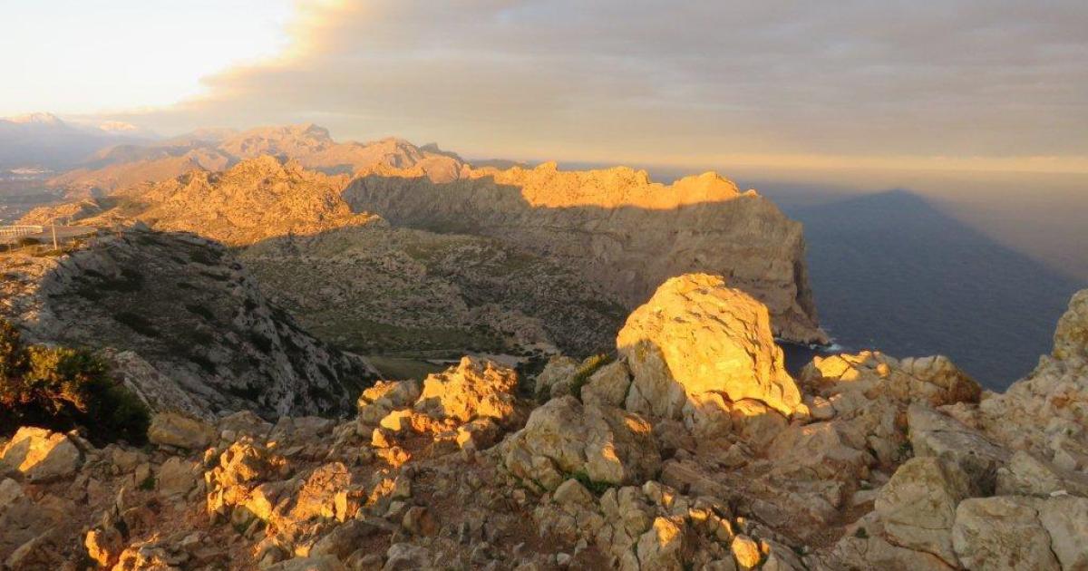 Birdwatchiing and wildlife in Mallorca