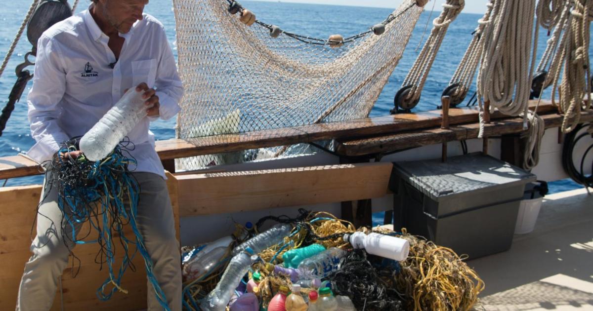 Help us protect marine wildlife - Be our eyes at sea in Majorca!