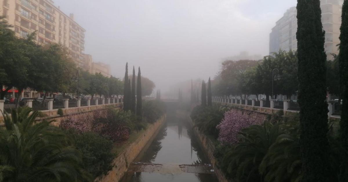 Mallorca Weather for Friday February 12